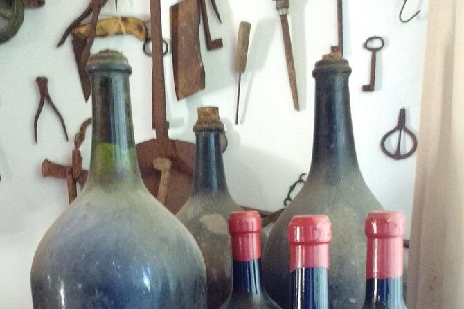 From Castellabate Paestum Temples Bufala Mozzarella wine tasting - What Makes This Tour Stand Out