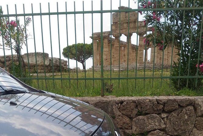 From Castellabate Paestum Temples Bufala Mozzarella wine tasting - Why This Tour Offers Real Value