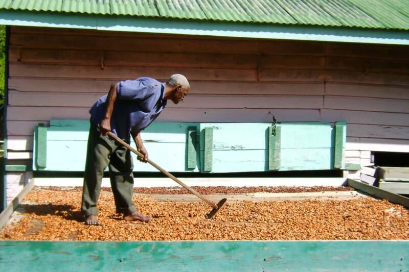 From Castries: Full-Day Catamaran Tour to Soufriere - FAQ