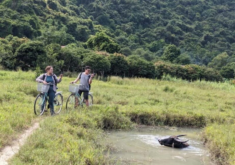 From Cat Ba: Day Trip Explore Lan Ha Bay & Viet Hai Village - Key Points