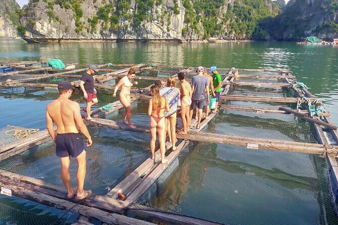 From Cat Ba island: full day boat tour to Lan Ha bay - Ha Long bay - Who Is This Tour Best For?