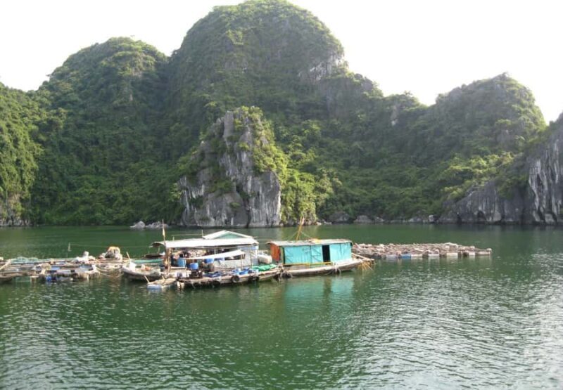 From Cat Ba: Lan Ha Bay-Halong Bay, Kayak, Snorkel, Swimming - Key Points