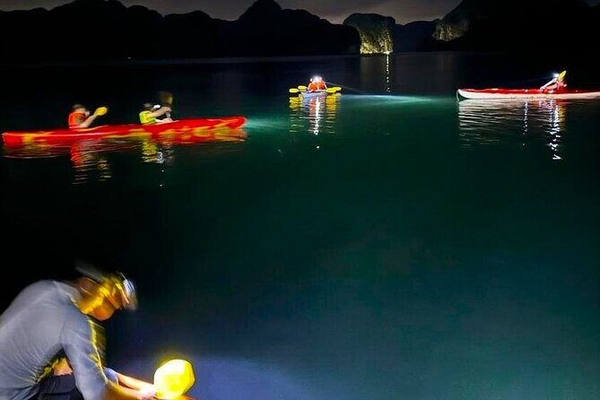 From Cat Ba: Sunset & Bioluminescent Plankton Night Kayak Tour - Key Points