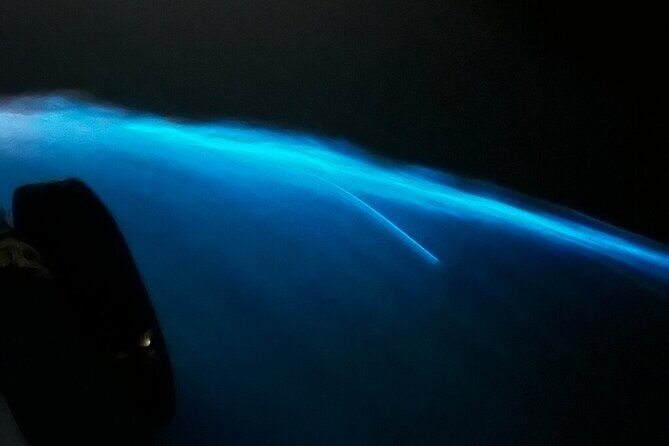 From Cat Ba: Sunset & Bioluminescent Plankton Night Kayak Tour - What Travelers Say