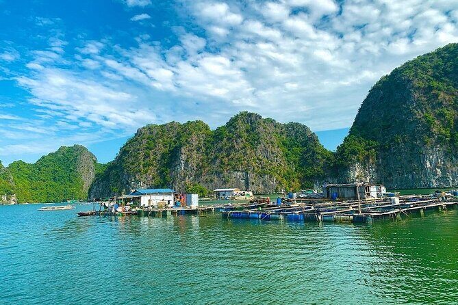 From Cat Ba: Sunset & Bioluminescent Plankton Night Kayak Tour - FAQ: Your Questions Answered