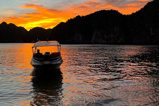 From Cat Ba: Sunset, Magical Bioluminescence Plankton Night Kayak - Practical Details and Value