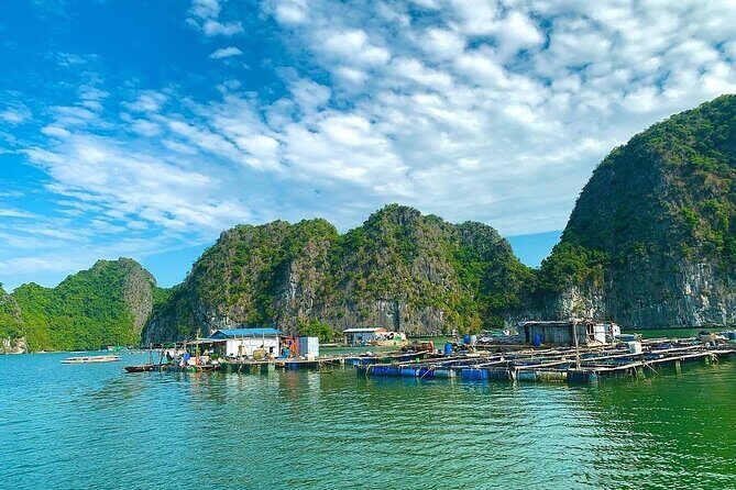 From Cat Ba: Sunset, Magical Bioluminescence Plankton Night Kayak - What Reviews Say About This Tour