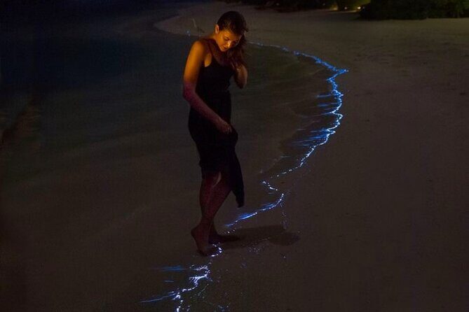 From Cat Ba: Sunset, Magical Bioluminescence Plankton Night Kayak - FAQ