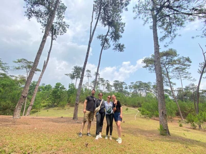 From Cat Ba to Ha Giang Loop Tour 3D/2N with Strawberry - Key Points