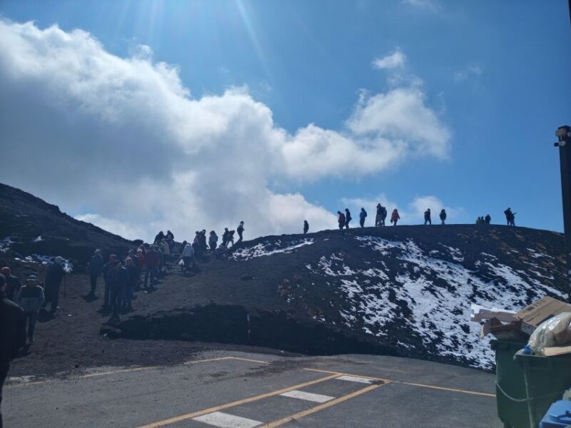 From Catania, Acireale, Giarre: Mount Etna Half-Day Trip - Who Should Consider This Tour?