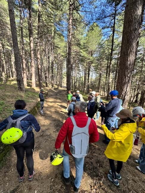 From Catania: Etna Trekking 2000m With Pick-up - What We Love About This Tour