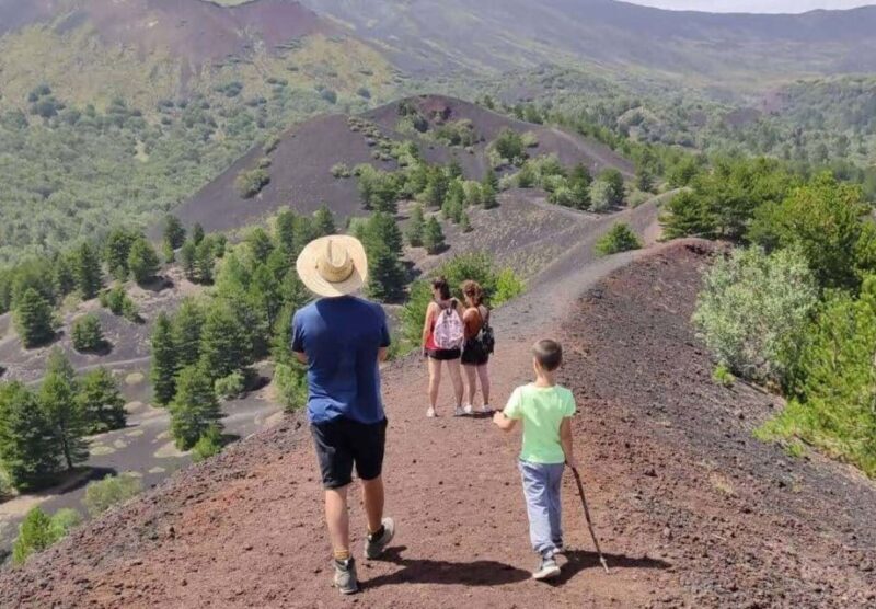 From Catania: Guided Hike on Etna, wines and nibbles - In The Sum Up