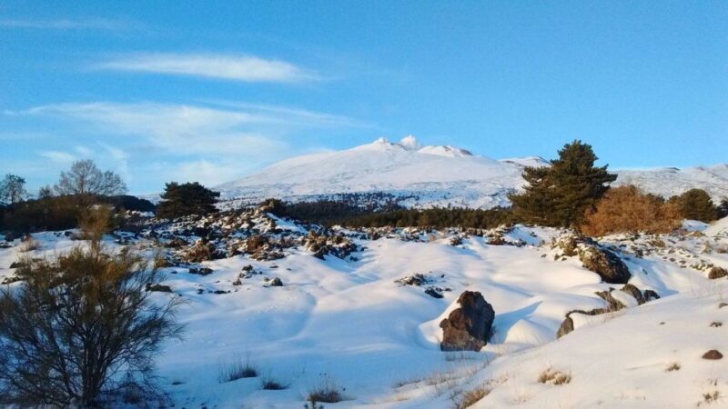 From Catania: Guided Tour of Mount Etna and Taormina - Key Points