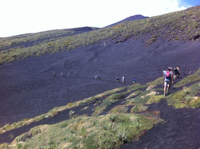 From Catania: Mount Etna Half-Day Tour and Wine Experience - The Wine Experience