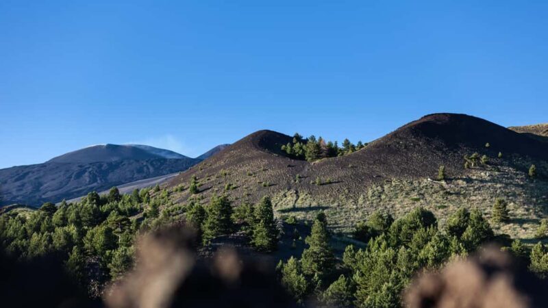 From Catania: Mount Etna Volcano, Lava Caves & Flavors Tour - The Sum Up: Authentic, Accessible, Enthusiastic