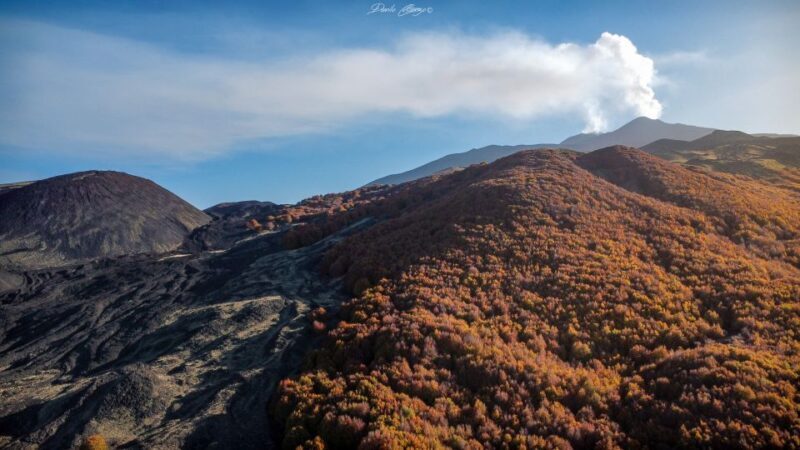From Catania: Mt. Etna, Wine and Alcantara Tour - Who Will Benefit Most from This Tour?