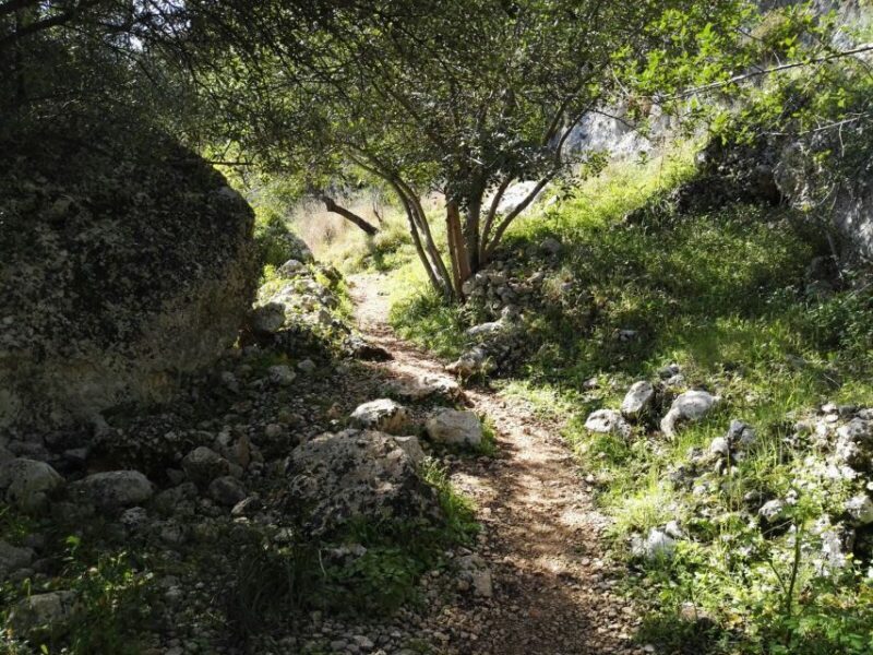 From Catania: Pantalica & Sortino Guided Tour - Who Should Consider This Tour?