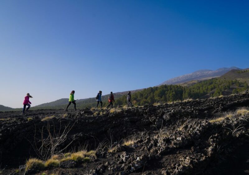From Catania: Private Mount Etna Trek - Discovering Mount Etna: A Walk on Italy’s Most Famous Volcano