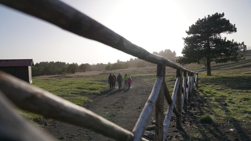 From Catania: Private Mount Etna Trek - Key Points