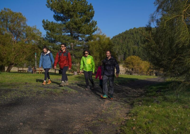 From Catania: Private Mount Etna Trek - Valuing the Experience: What Travelers Say and Why It Matters