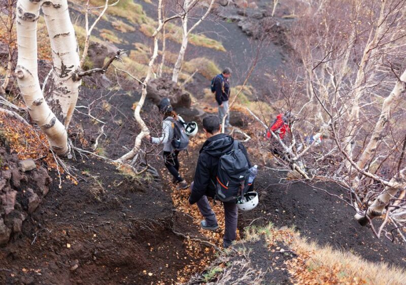 From Catania: Private Mount Etna Trek - Who Should Consider This Tour?