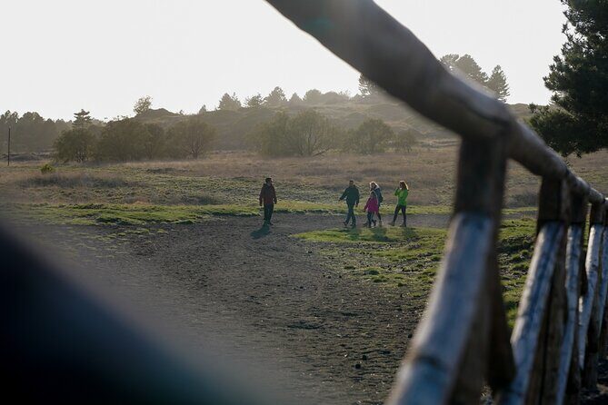 From Catania: Private mt. Etna trekking and pic-nic - The Itinerary in Detail