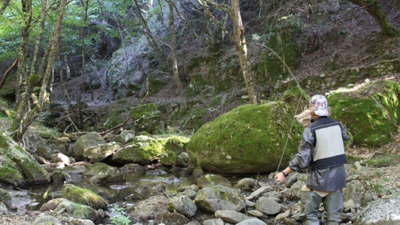 From Catania, Syracuse and Taormina: Fly fishing experience - Who Will Enjoy This Experience
