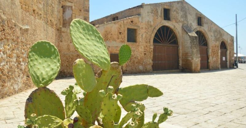 From Catania: Syracuse, Ortigia & Marzamemi Full-day Tour - The Reviewers Perspective: Pros and Cons