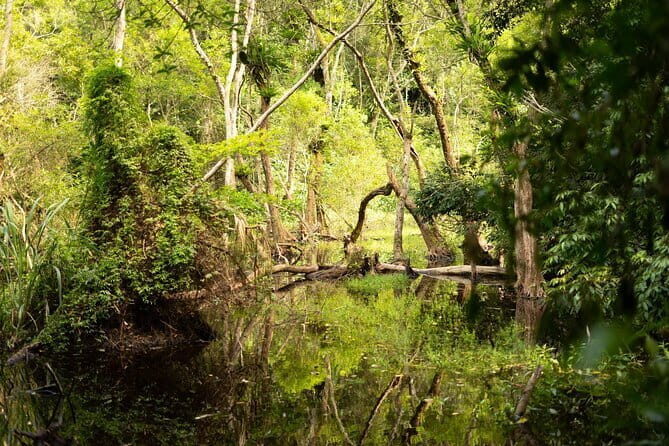 From Catba: Full Day Trekking Cat Ba National Park, Viet Hai - FAQ