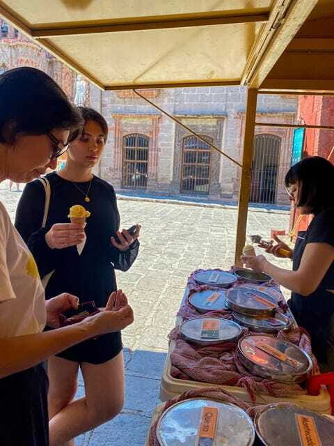 From CDMX: One day tour of colonial San Miguel de Allende - Who Will Love This Tour
