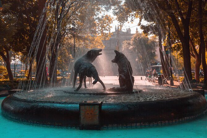 From cdmx: Tour in Coyoacan and Xochimilco all inclusive - Key Points