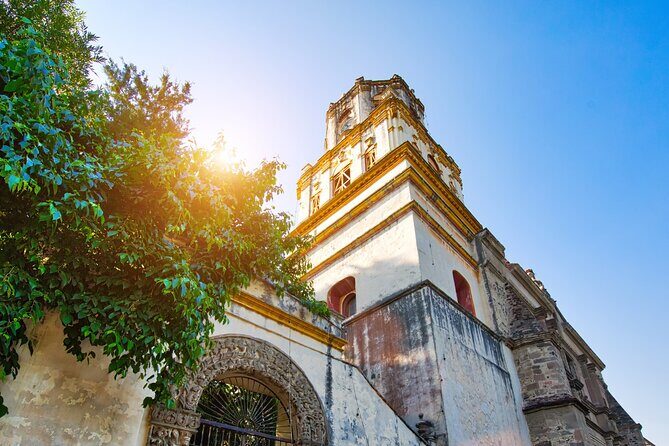From cdmx: Tour in Coyoacan and Xochimilco all inclusive - Pricing and Value: A Smart Investment