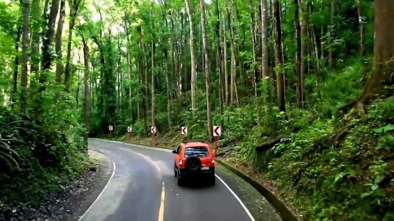 From Cebu: Bohol Countryside & Buffet Lunch Exclusive Tour - Who Should Consider This Tour?