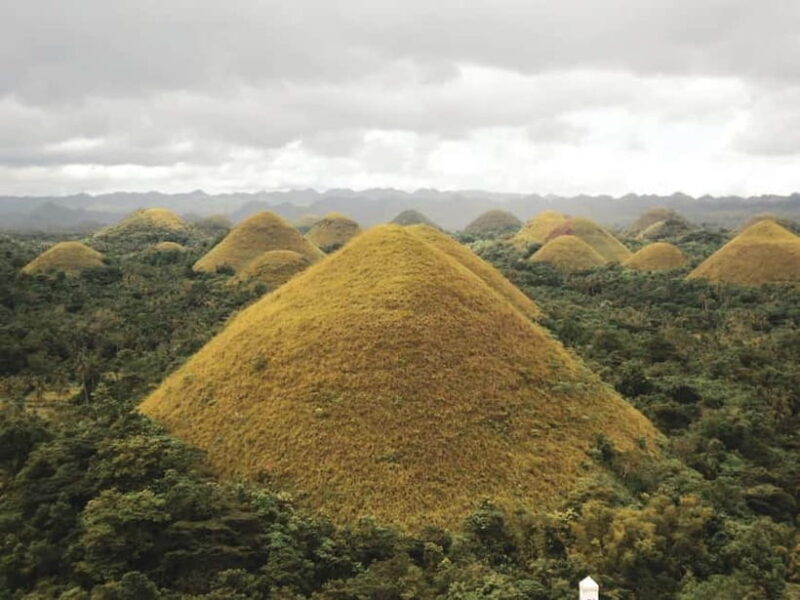 From Cebu-Bohol Day Tour with Roundtrip Ferry Transfers - Key Points
