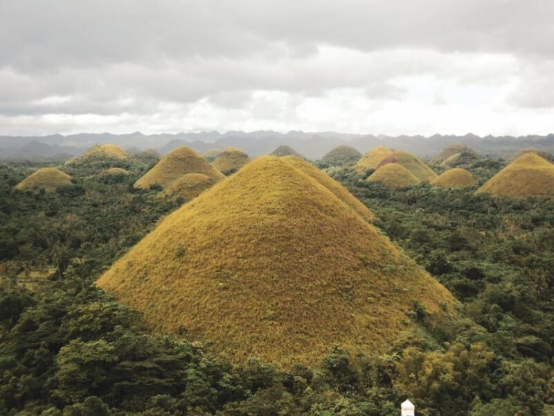 From Cebu-Bohol Day Tour with Roundtrip Ferry Transfers - An Overview of the Itinerary