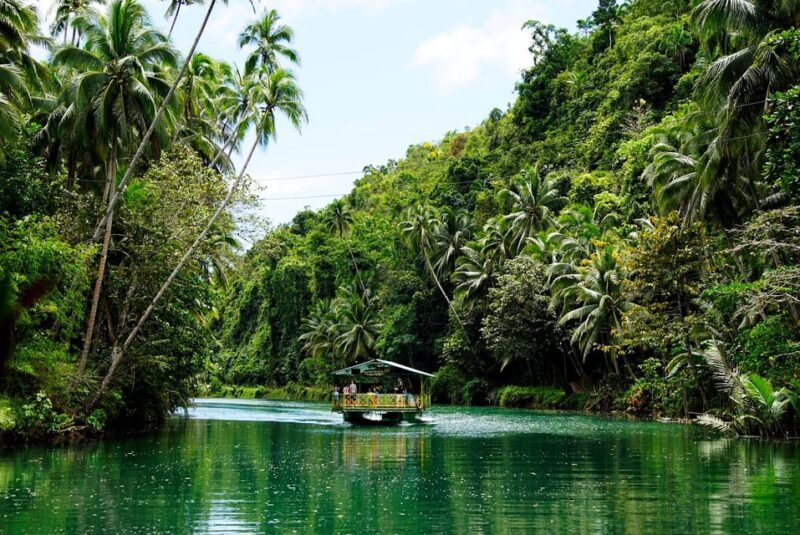 From Cebu-Bohol Day Tour with Roundtrip Ferry Transfers - Practical Details and Tips