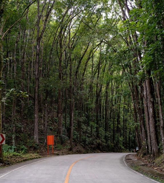 From Cebu-Bohol Day Tour with Roundtrip Ferry Transfers - FAQ