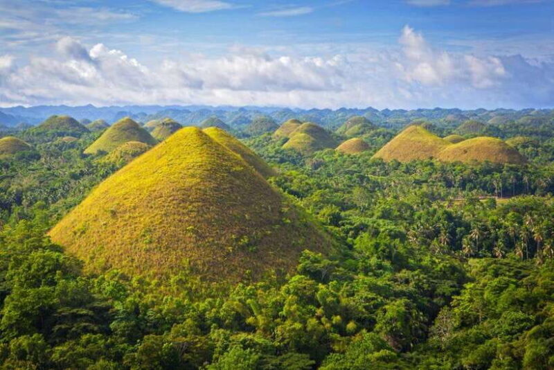 From Cebu City: Bohol Island Highlights in One Day - The Itinerary: A Step-by-Step Journey Through Bohol’s Best