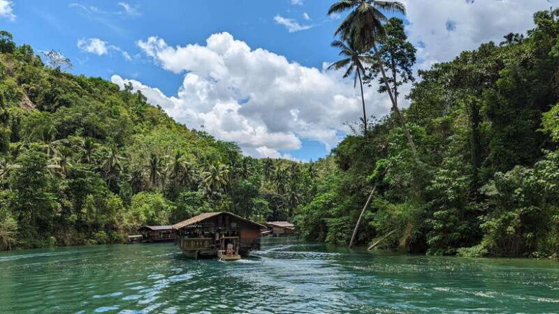 From Cebu City: Bohol Island Highlights in One Day - In The Sum Up