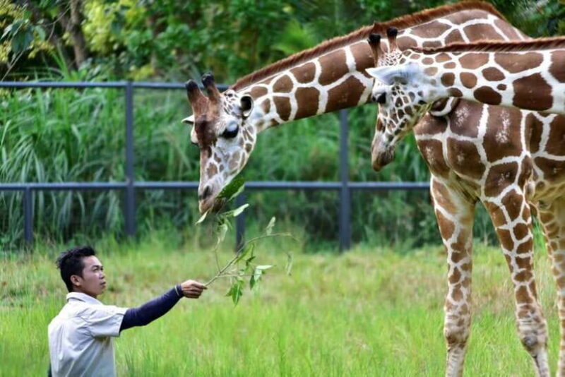 From Cebu City: Cebu Safari and Adventure Park Day Tour - FAQs