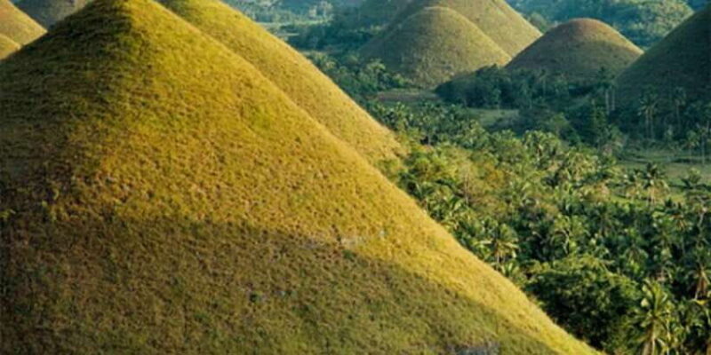 From Cebu: Full-Day Bohol Excursion - The Practicality of the Full-Day Excursion from Cebu