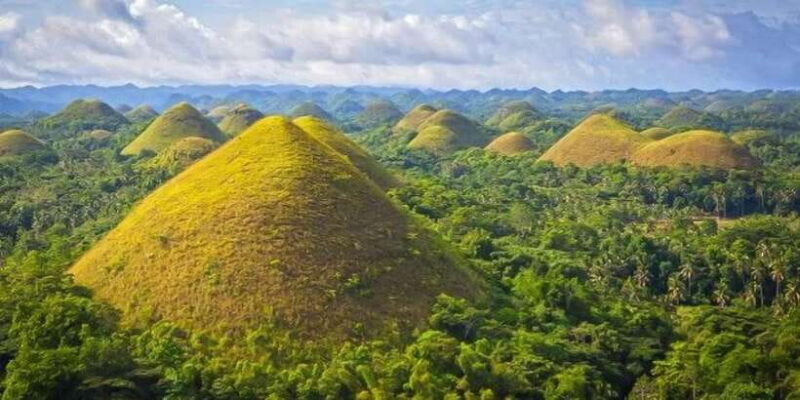 From Cebu: Full-Day Bohol Excursion - The Realities of the Tour: Pros and Cons