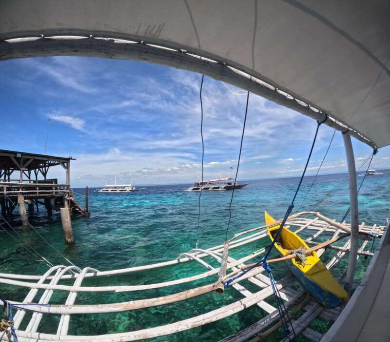 From Cebu: Island Hopping to 3 islands with BBQ lunch - Key Points