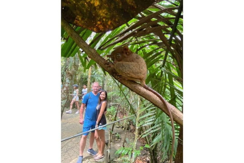 From Cebu:Bohol Bucket List Countryside Adventure with Lunch - Frequently Asked Questions