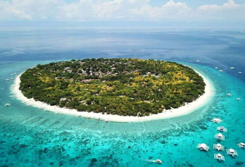 From Cebu:Pamilacan, Virgin Island, Dolphin Watching & Lunch - Key Points