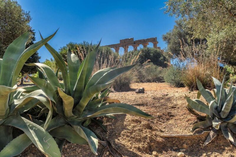 From Cefalù: Guided Tour to Agrigento Valley of the Temples - Transportation and Group Size