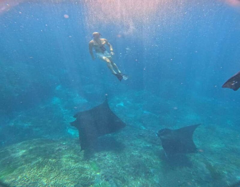 From Ceningan: Snorkeling with Manta Rays & Land Tour - Detailed Review: What to Expect from This Bali Marine and Land Tour
