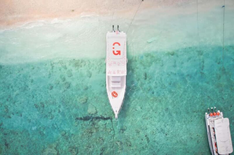 From Ceningan: Snorkeling with Manta Rays & Land Tour - The Sum Up: Who Should Consider This Tour?