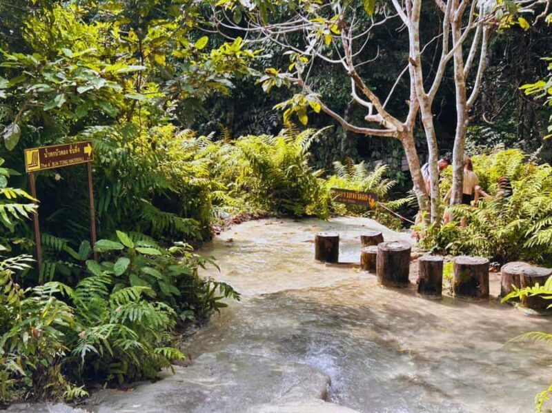 From Chang Mai: Sticky Waterfall Private Day Trip - The Itinerary in Detail