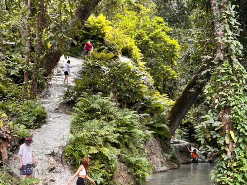 From Chang Mai: Sticky Waterfall Private Day Trip - Authentic Insights from Visitors